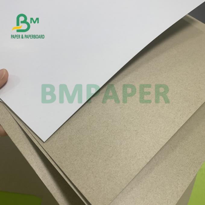 300gsm - 450gsm C1S Coated Duplex Board With High Stiffness Folding ...