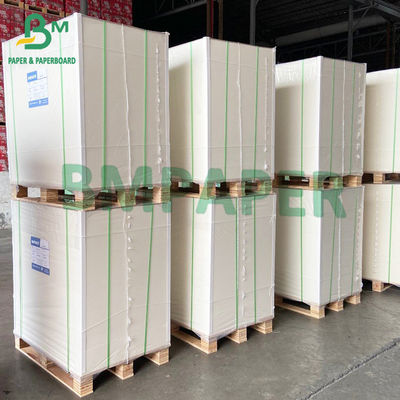 China Guangzhou Bmpaper Co., Ltd. company profile