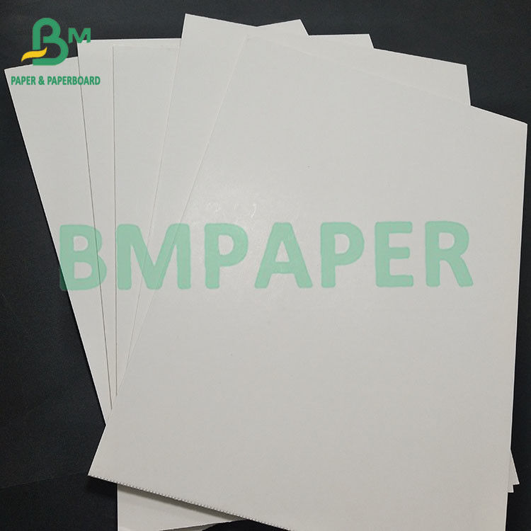 16 and 20pts Two Side Clay Coated Fbb BOARD FOR BLISTER CARD BOARD