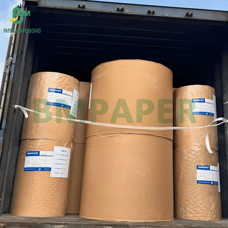 50gsm White Bleached Coffee Filter Paper Roll For Separating Solid From ...