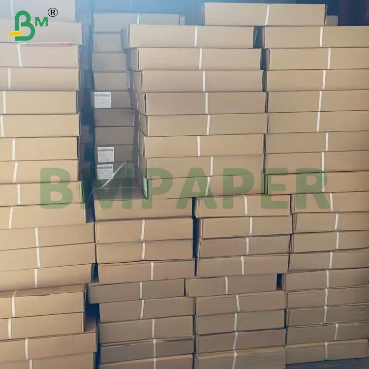 2 Inch Core Size Clear Image Double Side Blue Plotter Paper Rolls