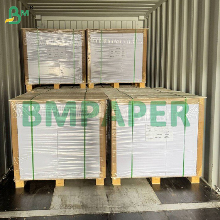Porous Creped Coffee Filter Paper for Basket & Cone Filters