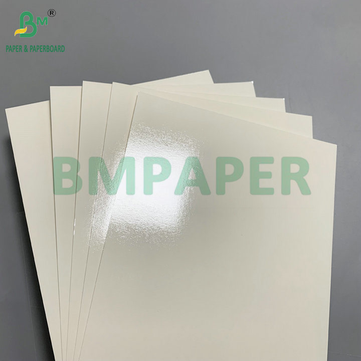 PE Coated Waterproof Cardboard for Paper Bowls & Food Packaging