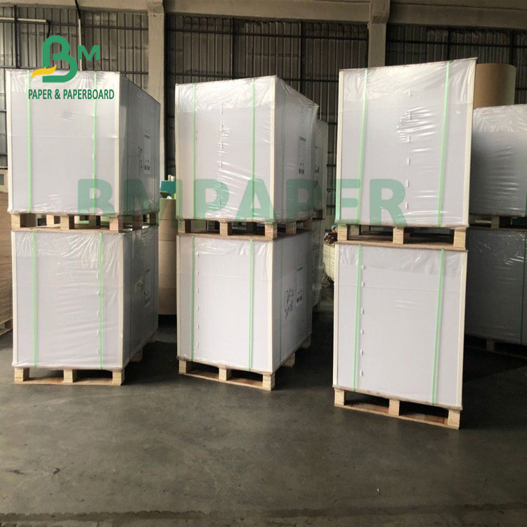 Food Grade Cup Stock Paper Board For Noodle Bowl 700mm X 1000mm