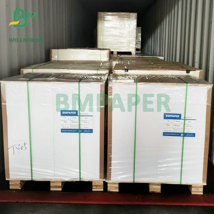 Double Sided Text C2S Board Paper 12" X 18" 80# 100# High White