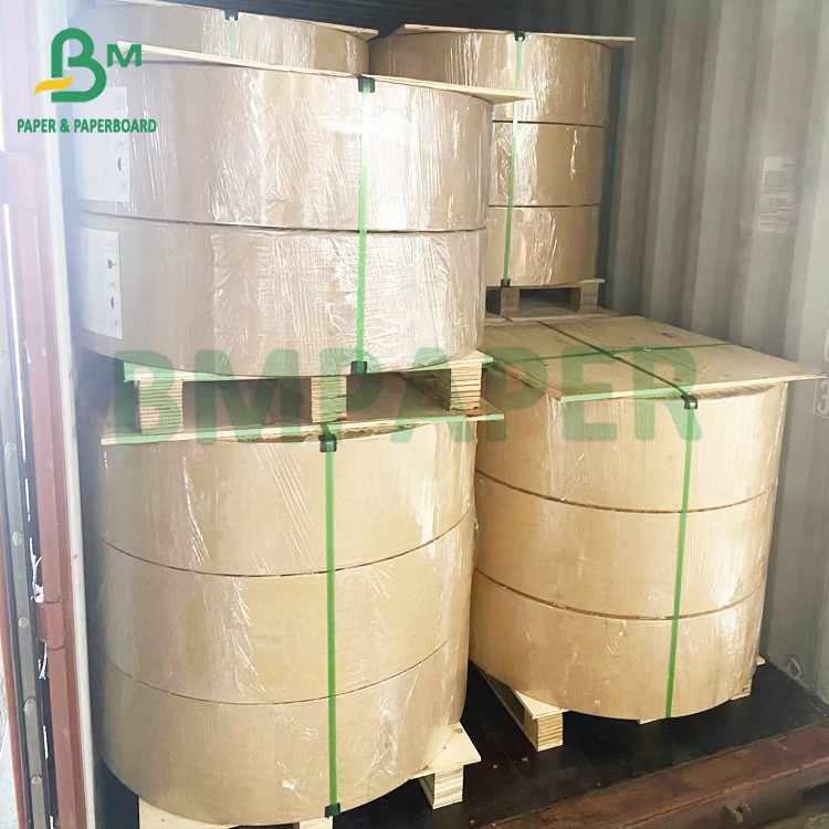 300gsm Recycled Pulp Smooth Double Side Coated White Board Duplex Board