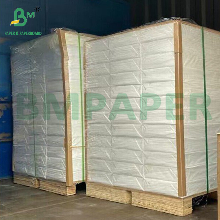 High Tear Resistant Both Side Resin Coated Synthetic Paper For Banner ...