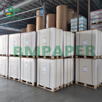 Quality CAD Plotter Paper & Carbonless NCR Paper factory from China