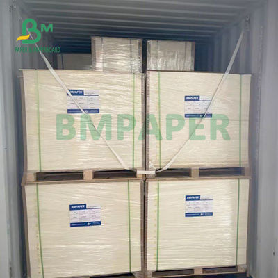 Quality CAD Plotter Paper & Carbonless NCR Paper factory from China